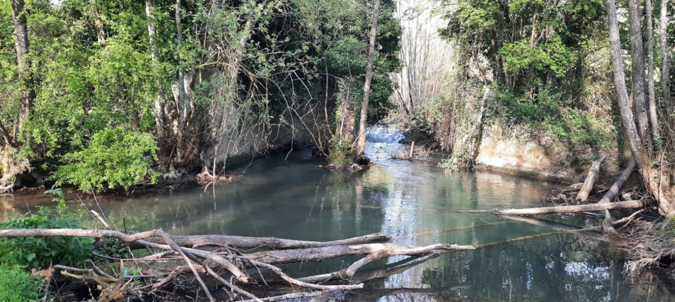 Restauration écologique de la rivière Lys - Fédération de pêche du Pas ...