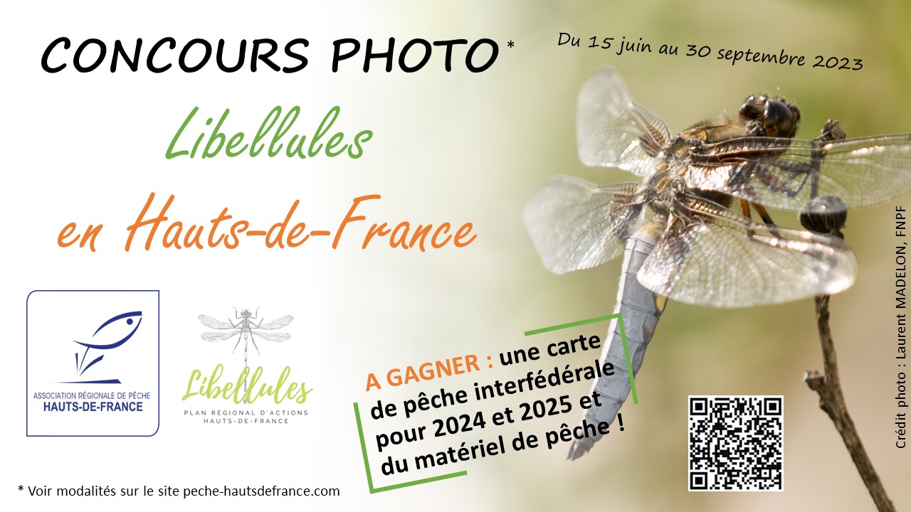 Concours photo libellules - Fédération de pêche du Pas-de-Calais ...